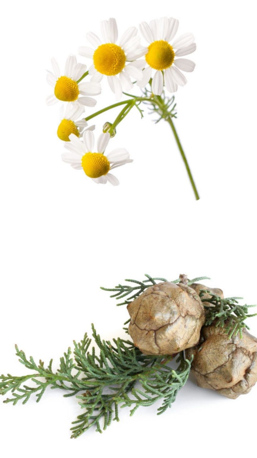 Enrouement, extinction : quand la voix s'en va... CONSEILS AROMA